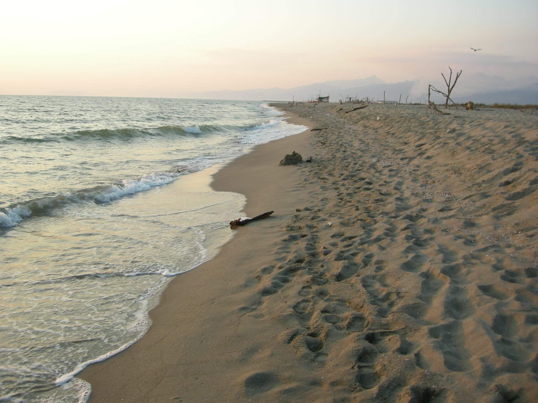 Spiaggia Marina di Torre del Lago Puccini: spiagge italiane su trovaspiagge Spiaggia Marina di Torre del Lago Puccini: spiagge italiane su trovaspiagge